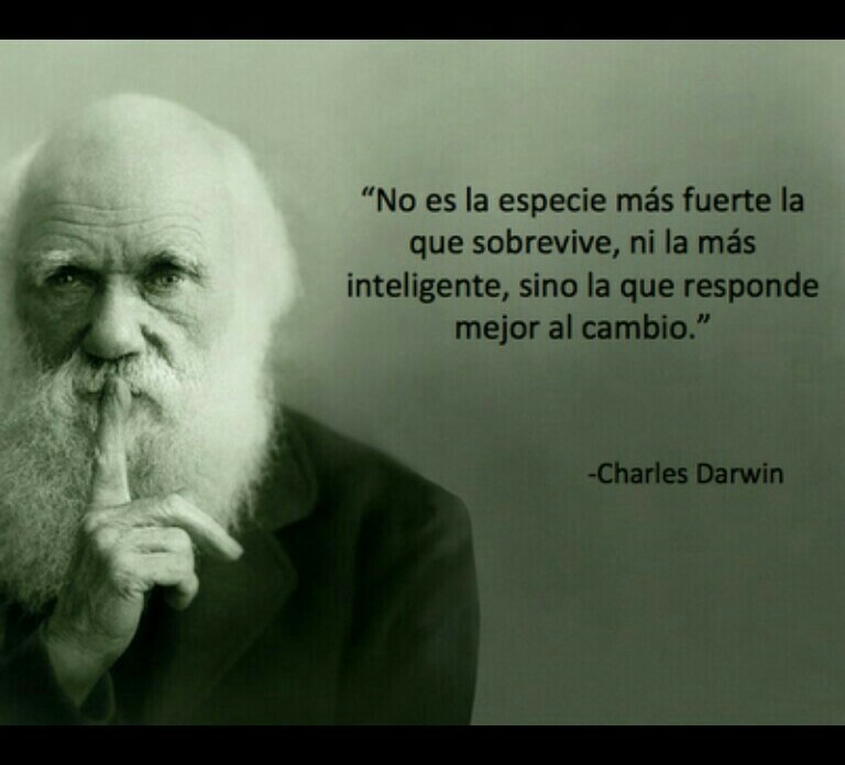 ADAPTARSE O MORIR – Blog Promoción de la Salud Comunitaria